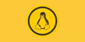 Linux Capabilities 入门教程：概念篇 · 云原生实验室